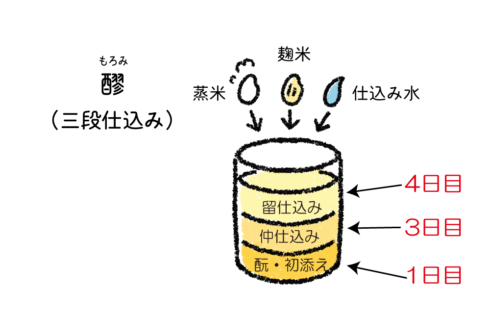 日本酒の作り方を解説 製造工程をわかりやすく説明 お酒のソムリエ Sakesen【公式ブログ】株式会社酒専やまもと